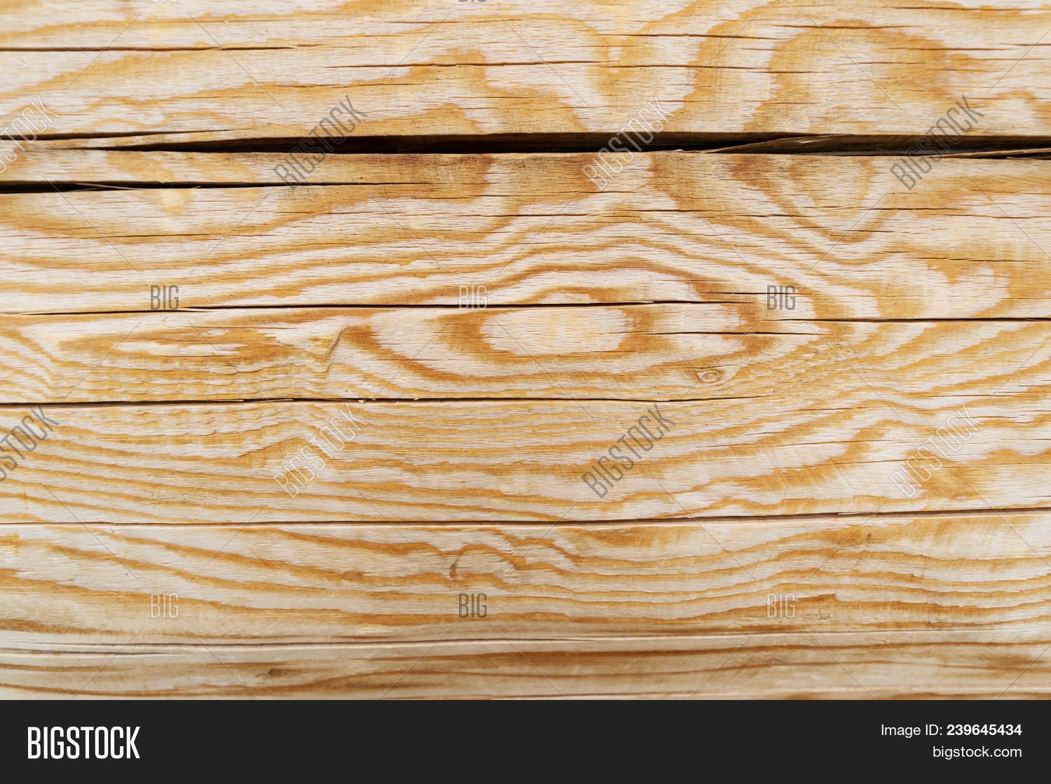 Larch Wood Texture Image & Photo (Free Trial) | Bigstock