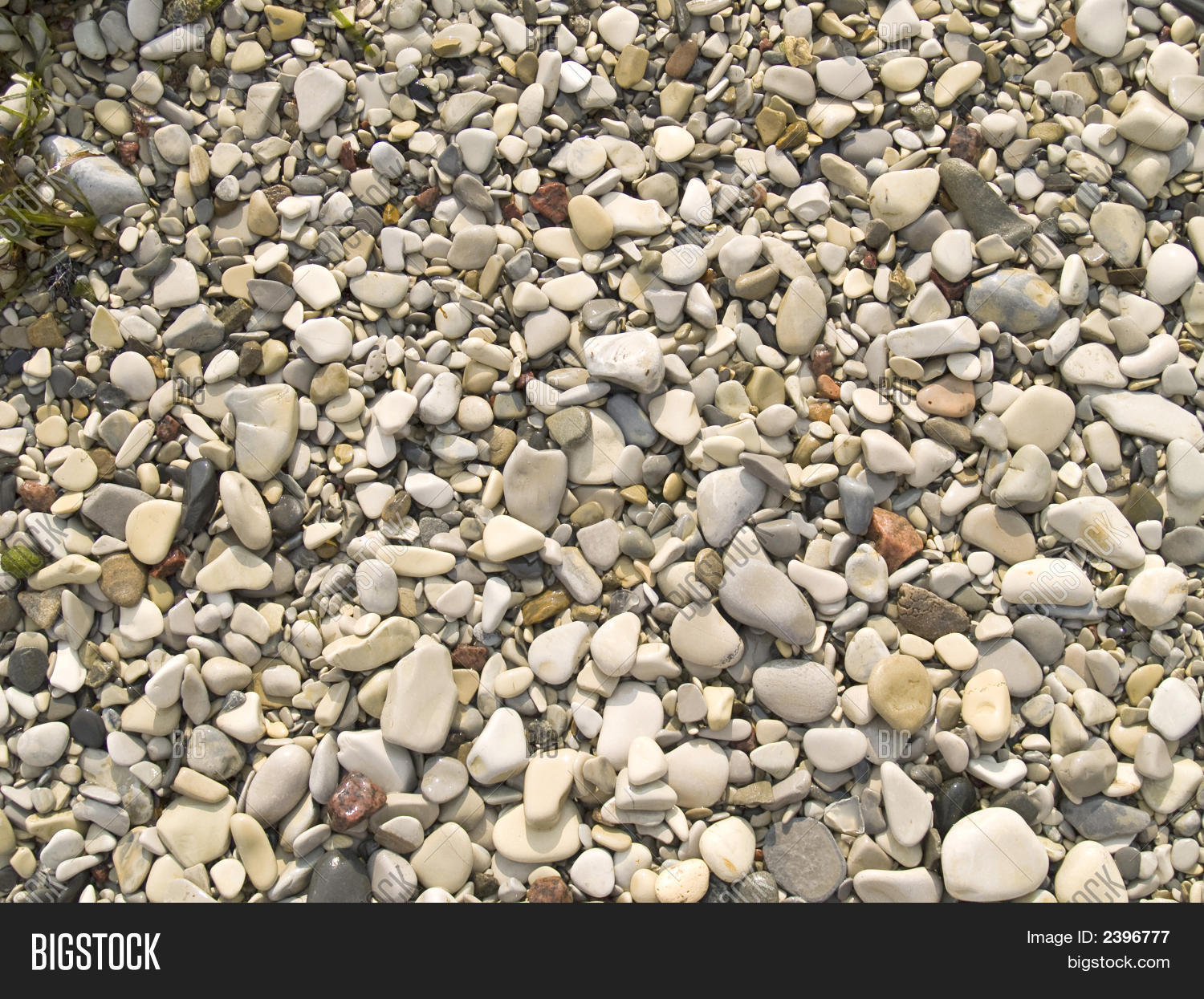 Smooth River Stone Image & Photo (Free Trial) | Bigstock