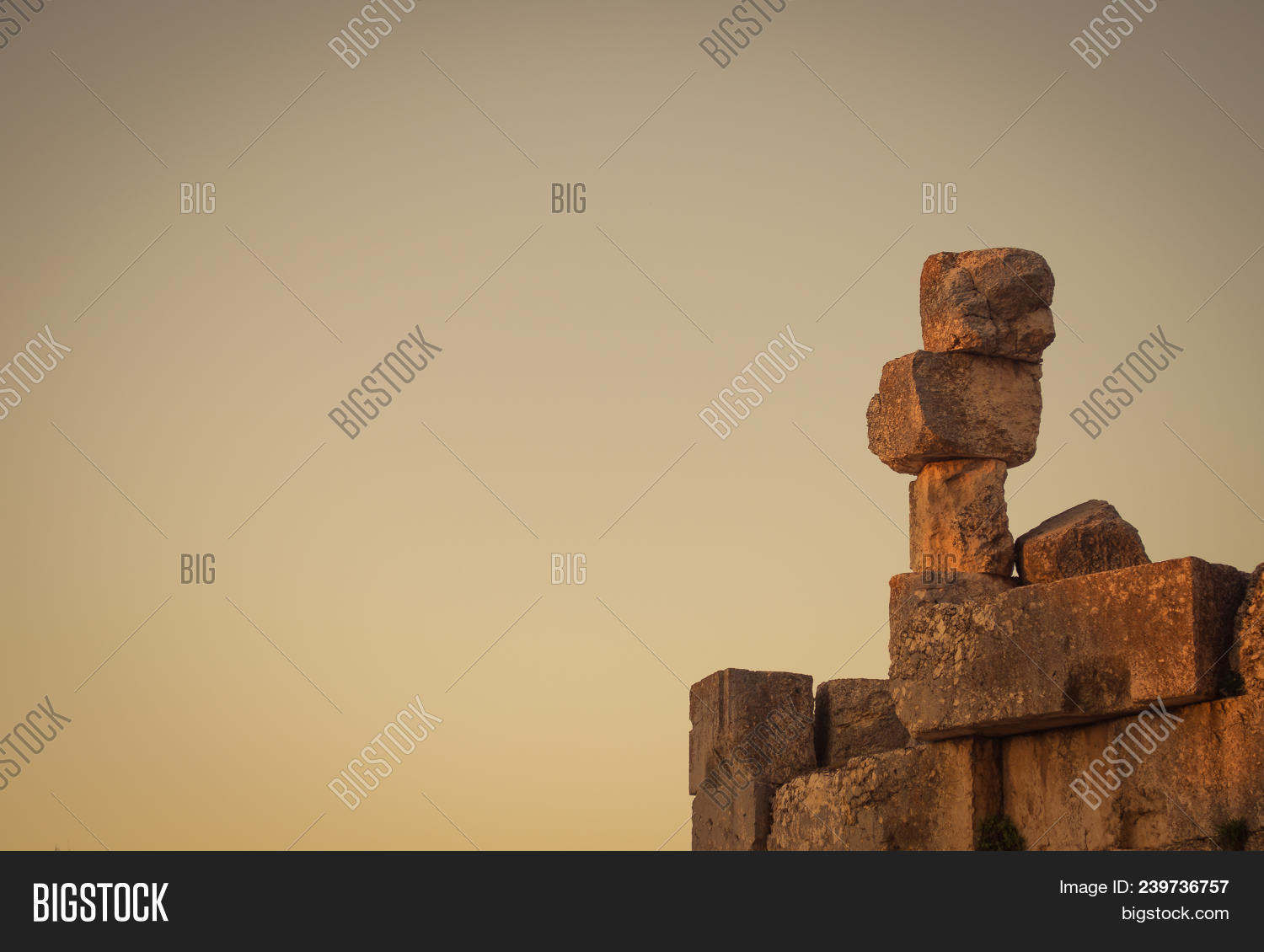Trees Al Shouf Cedar Image & Photo (Free Trial) | Bigstock