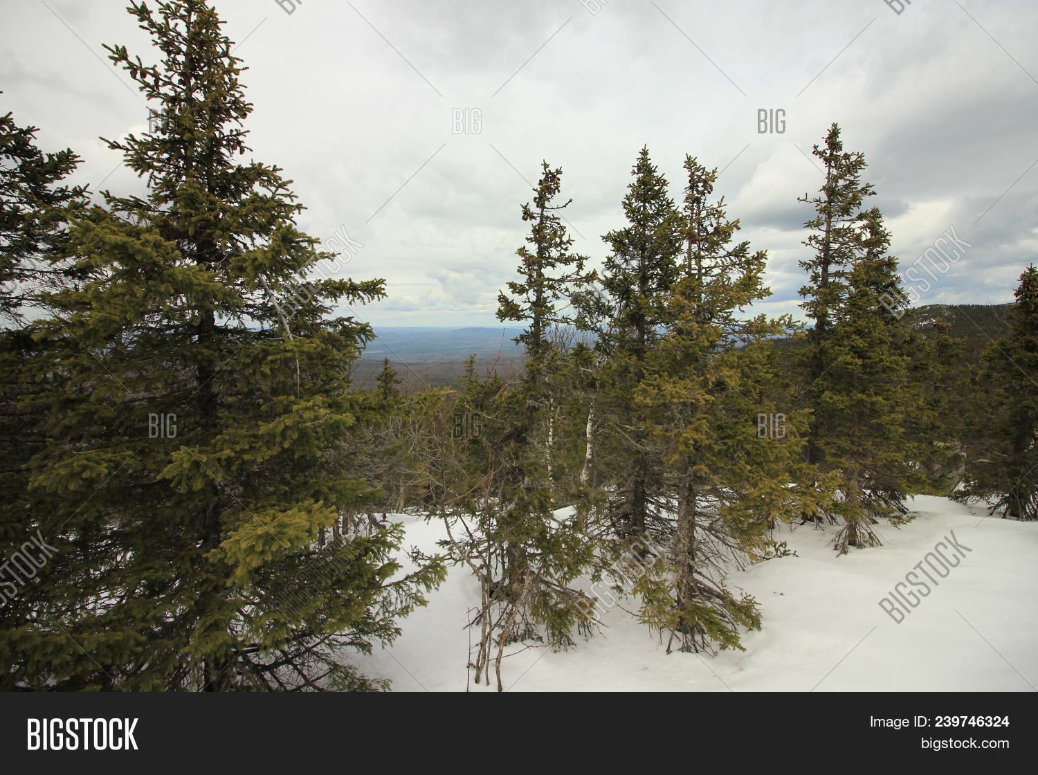 Russian Nature. Ural Image & Photo (Free Trial) | Bigstock