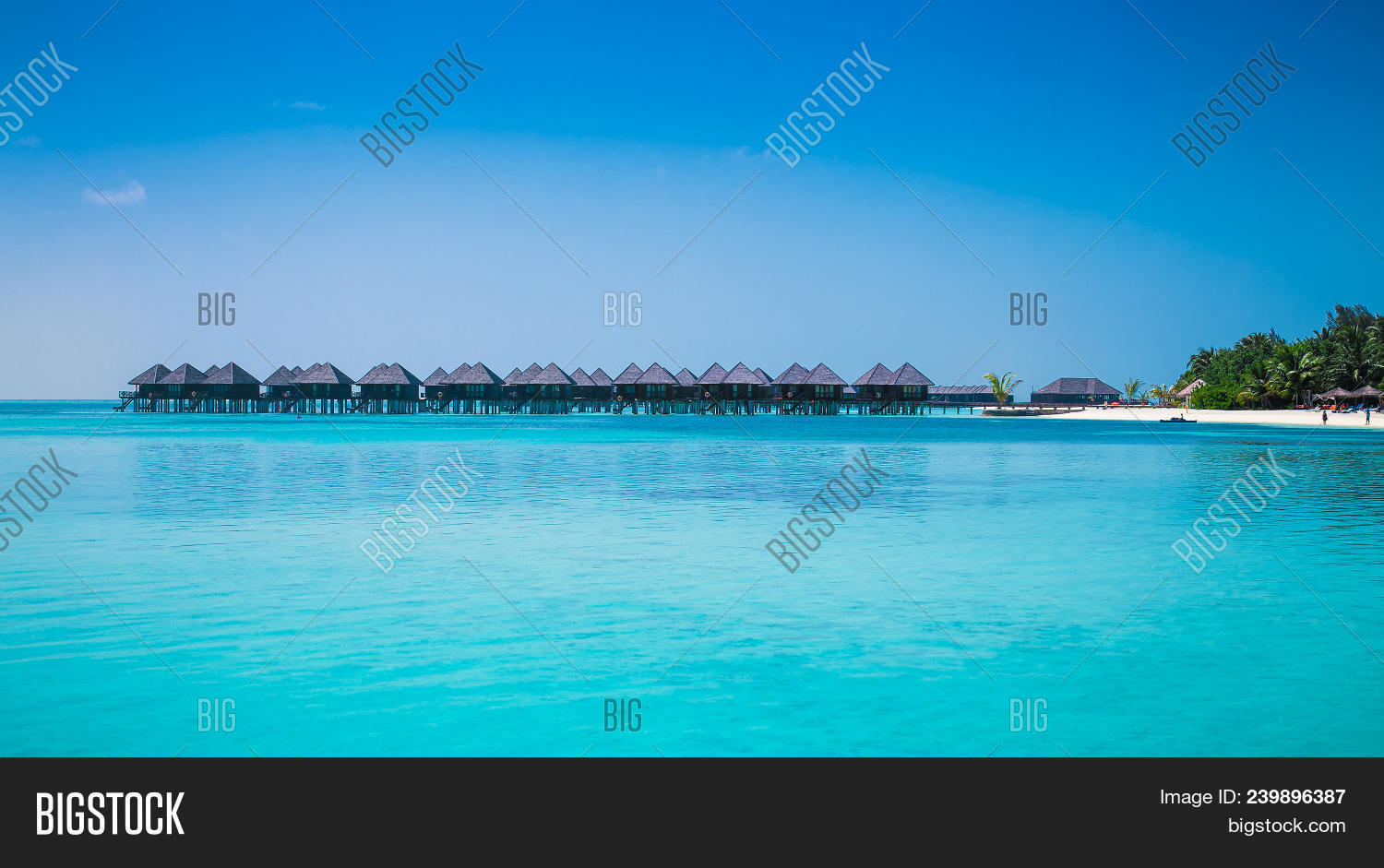 Beautiful Beach White Image & Photo (Free Trial) | Bigstock