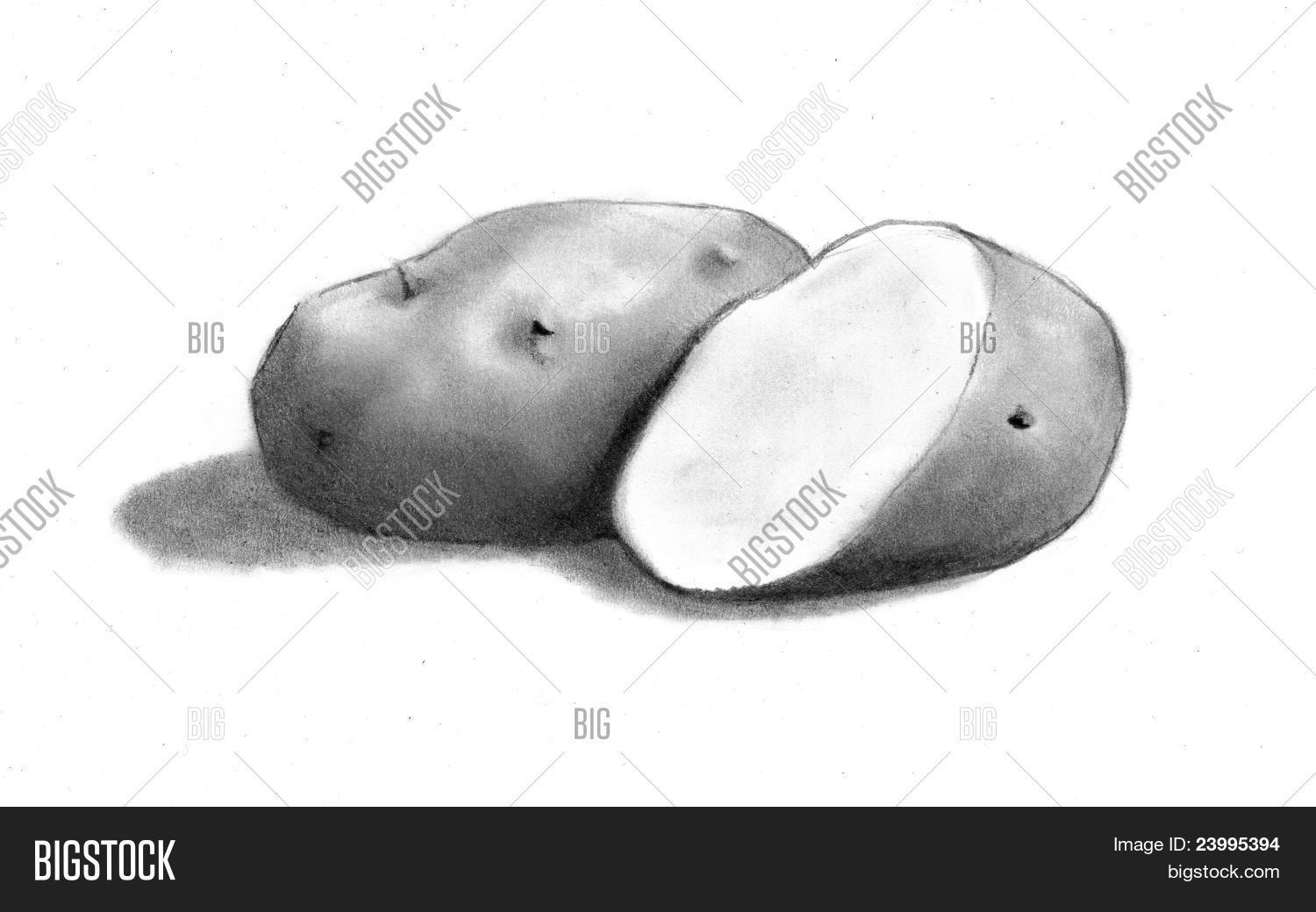 Pencil Drawing Image & Photo (Free Trial) | Bigstock