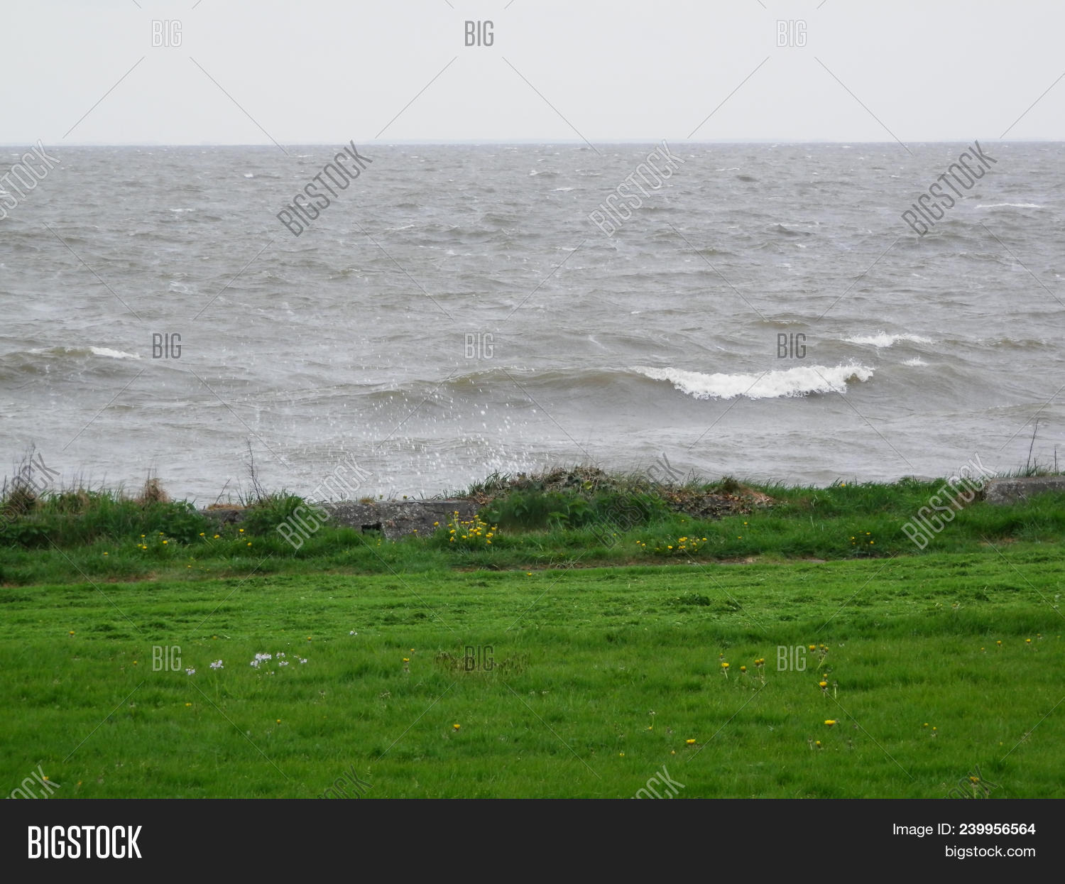Green Grass Dike Image & Photo (Free Trial) | Bigstock