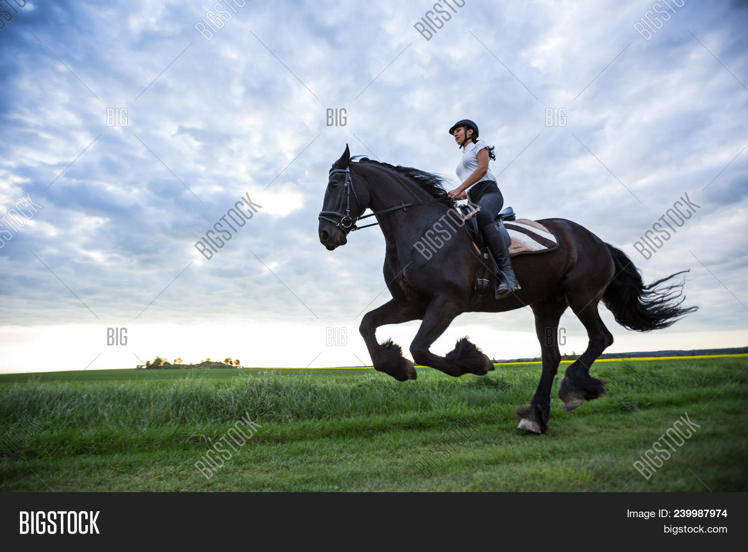 Beautiful Woman Riding Image & Photo (Free Trial) | Bigstock