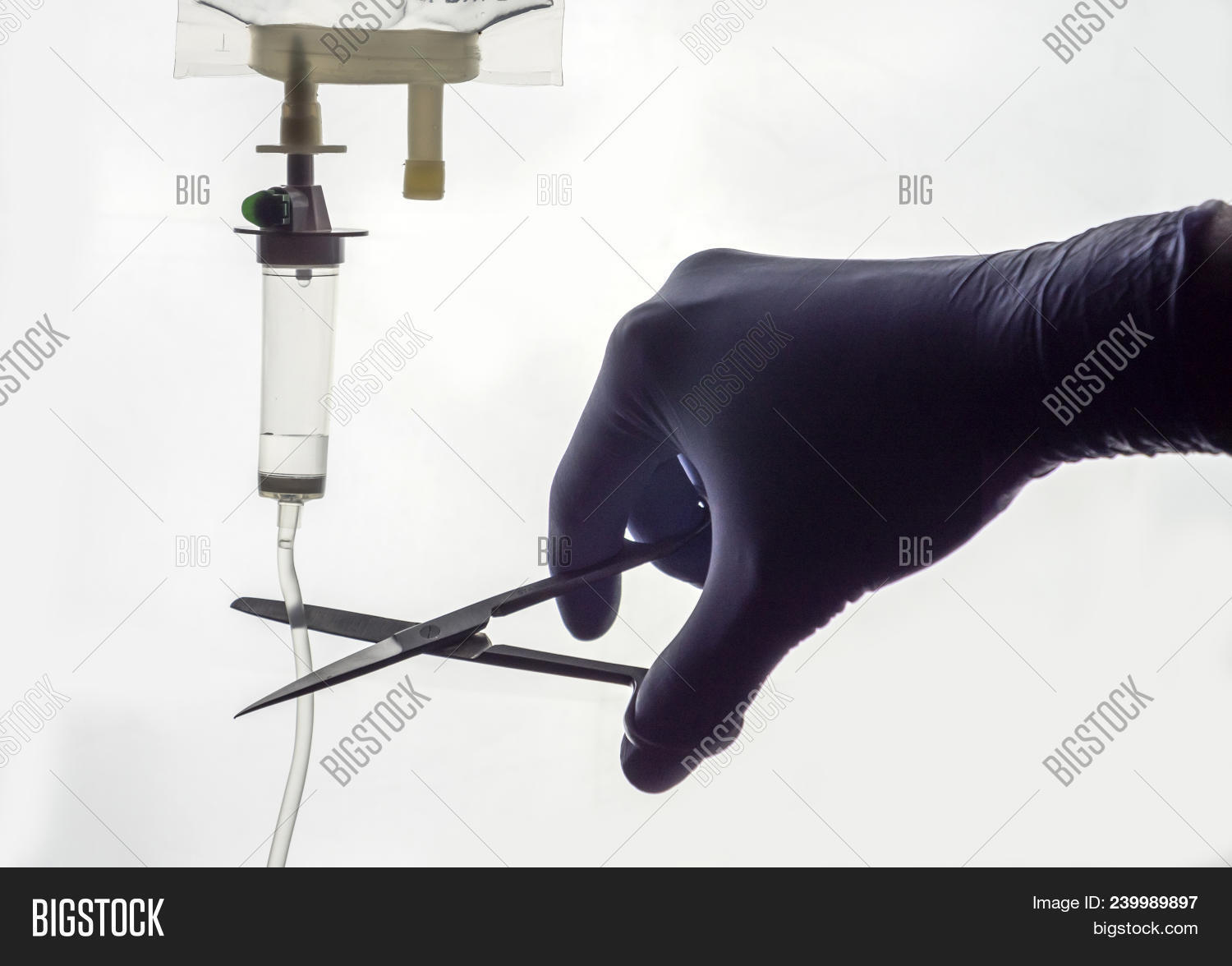 Doctor Cut Scissors Image & Photo (Free Trial) | Bigstock