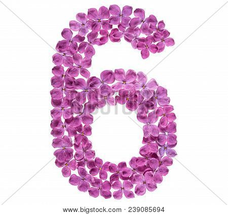 Arabic Numeral 6, Six Image & Photo (Free Trial) | Bigstock