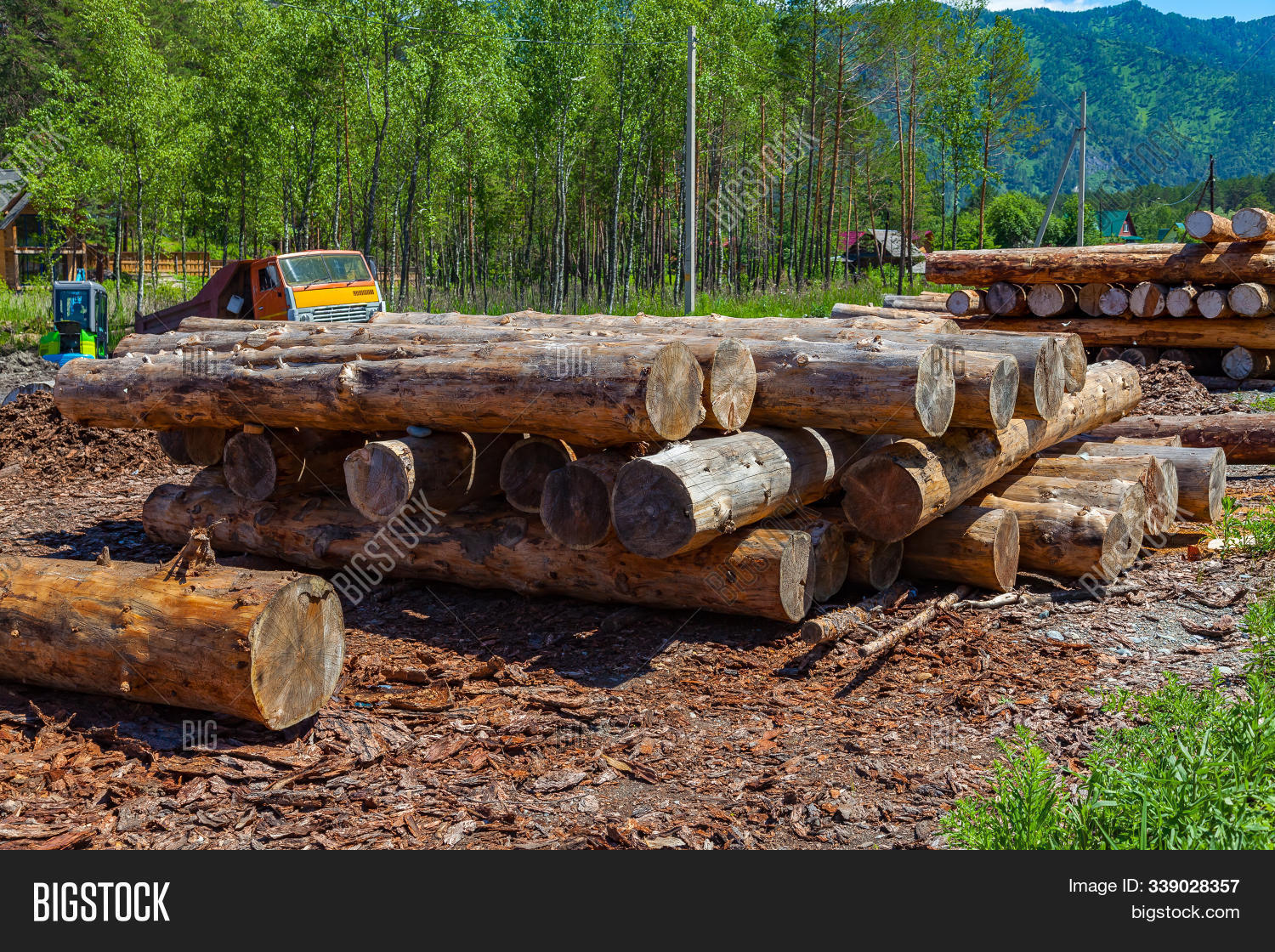 Large Sawn Round Pine Image & Photo (Free Trial) | Bigstock