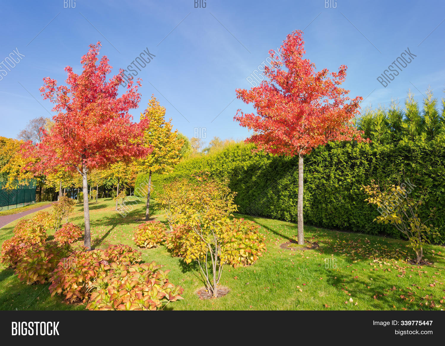 Young American Image & Photo (Free Trial) | Bigstock