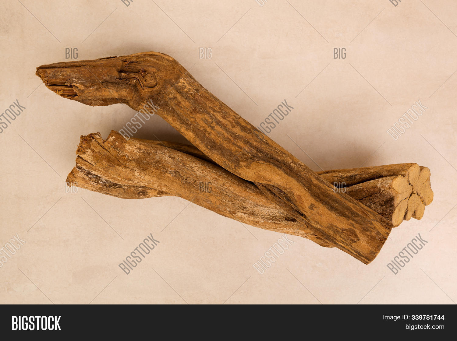 Banisteriopsis Caapi Image & Photo (Free Trial) | Bigstock