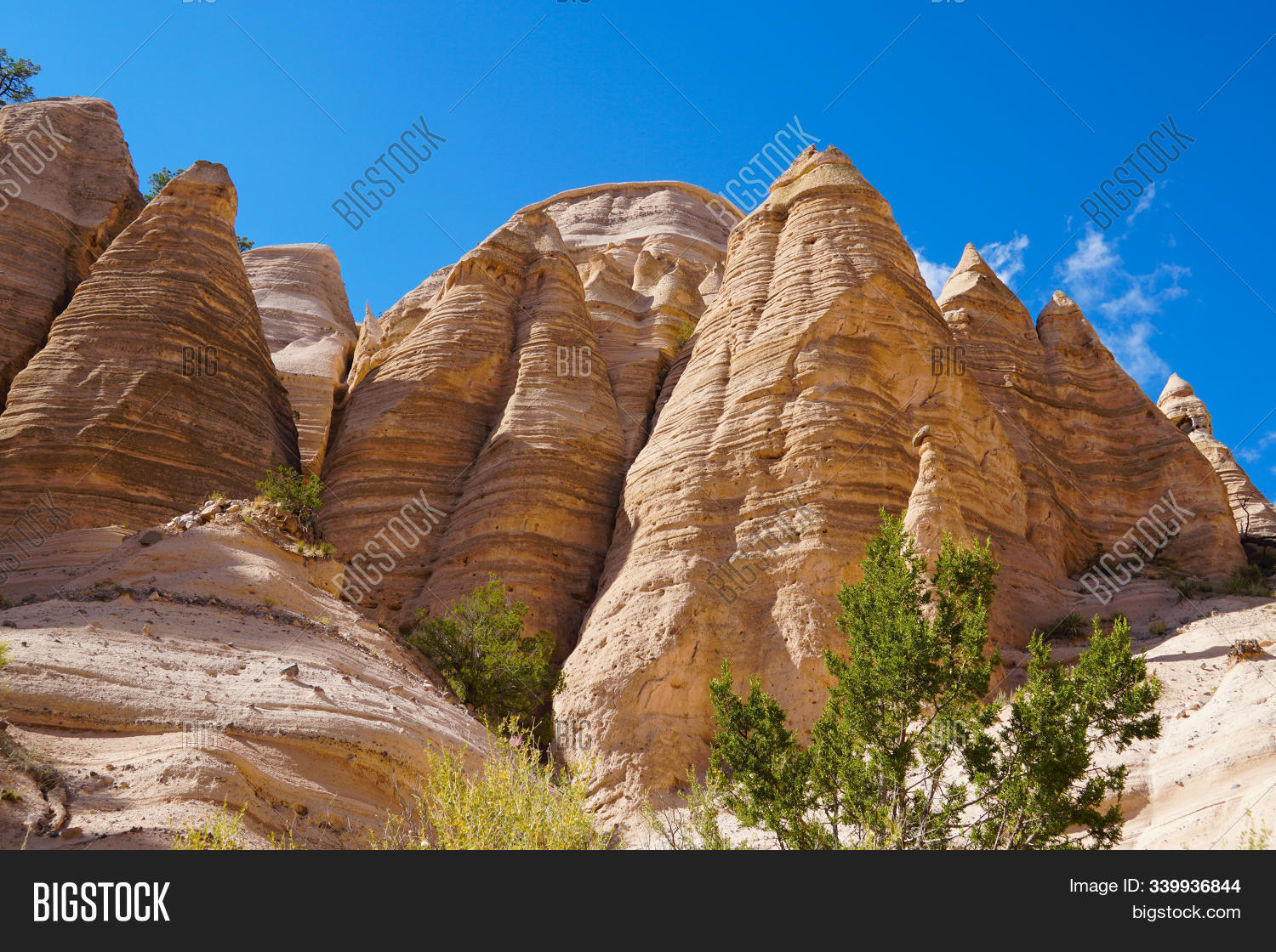 Unique Beautiful Image & Photo (Free Trial) | Bigstock