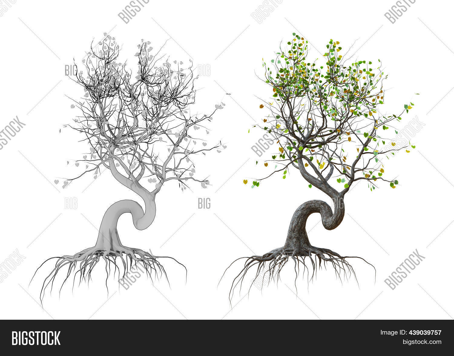 Strongly Curved Tree Image & Photo (Free Trial) | Bigstock