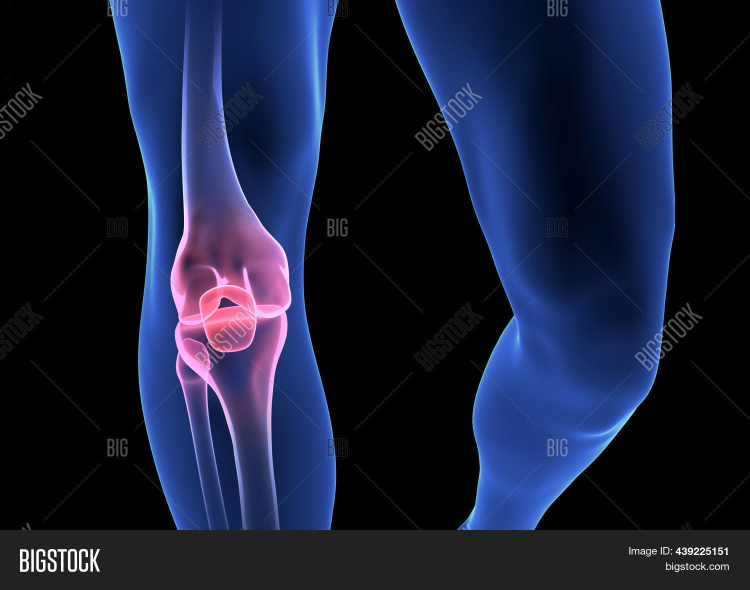 Knee Pain. Blue Human Image & Photo (Free Trial) | Bigstock