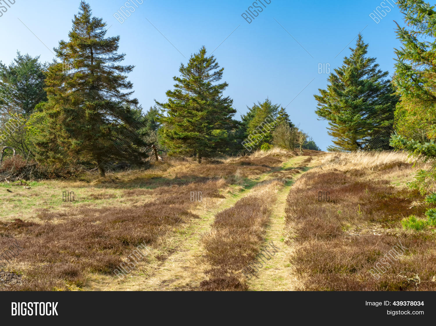 National Park Thy Image & Photo (Free Trial) | Bigstock