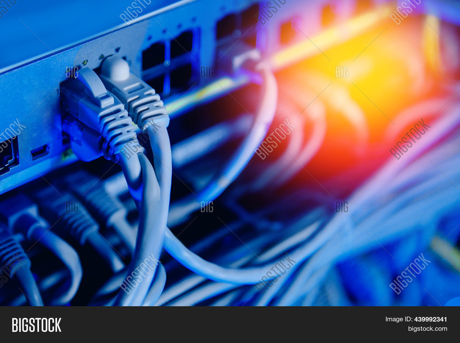 Business Network Panel Image & Photo (Free Trial) | Bigstock
