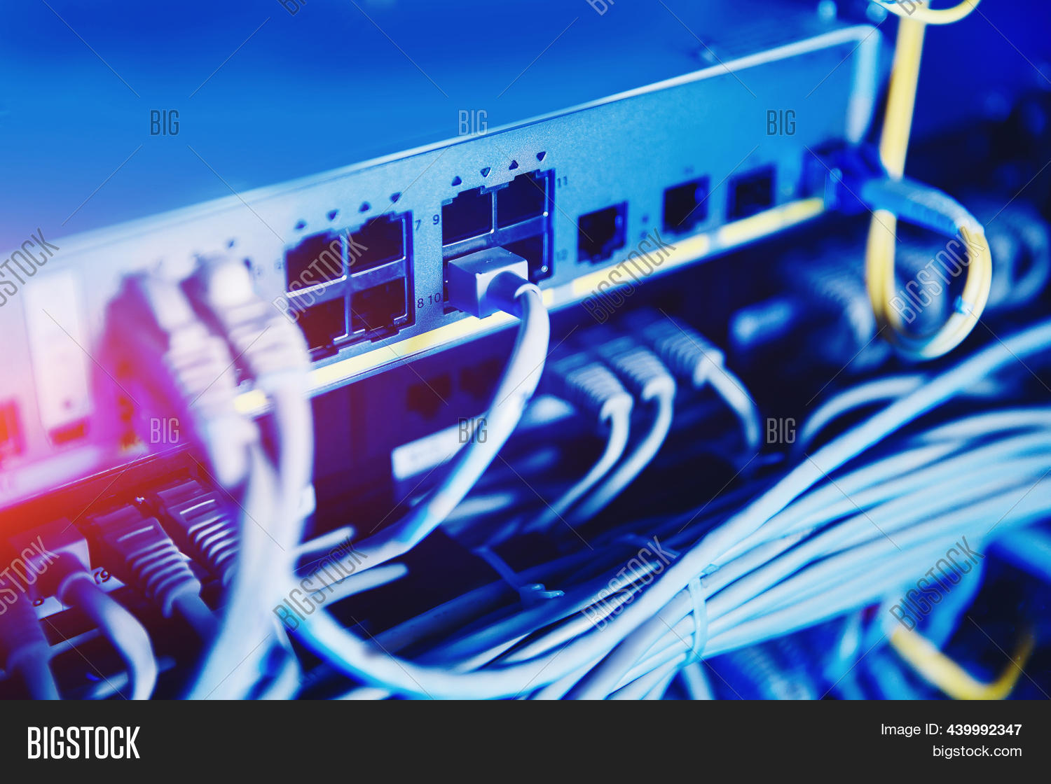 Fiber Ethernet Cable Image & Photo (Free Trial) | Bigstock