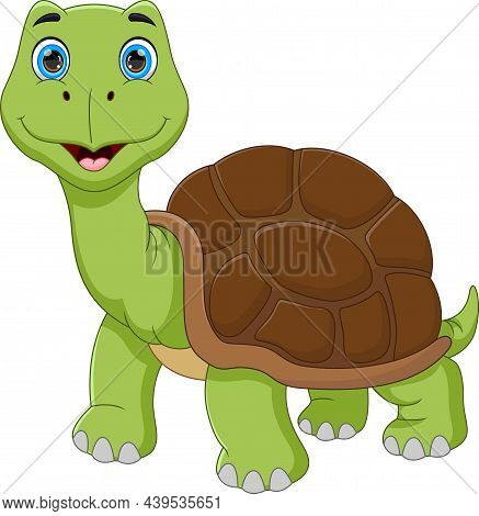 Funny Turtle Cartoon Vector & Photo (Free Trial) | Bigstock