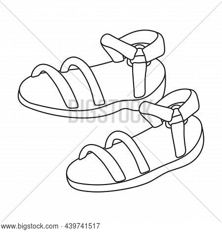 Sandal Vector Outline Vector & Photo (Free Trial) | Bigstock
