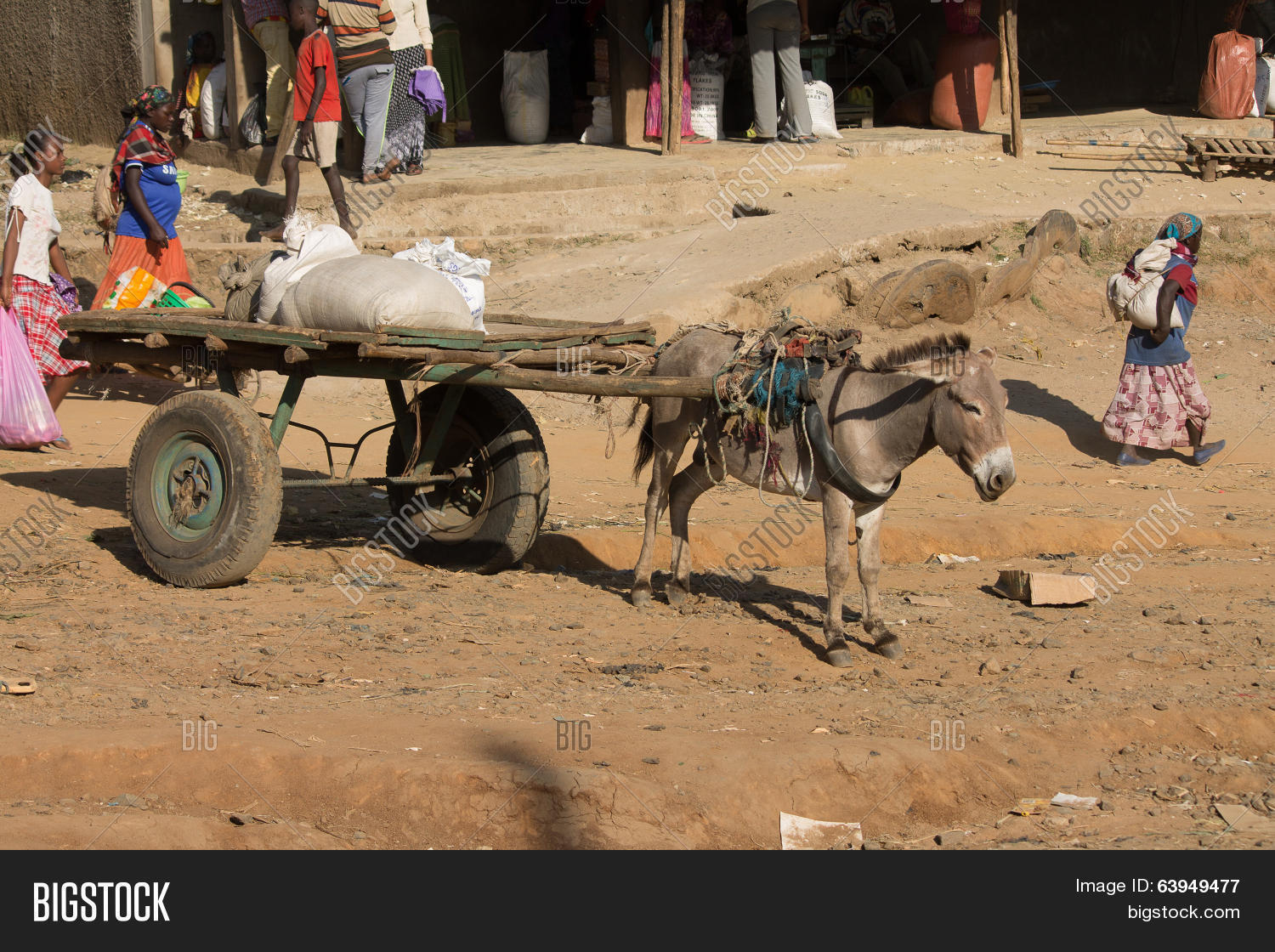 Donkey Cart Image & Photo (Free Trial) | Bigstock
