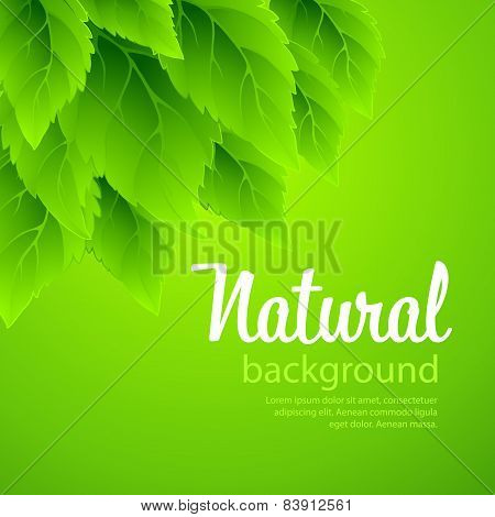 Natural Vector Vector & Photo (Free Trial) | Bigstock