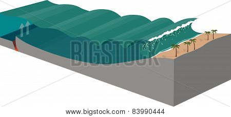 Tsunami Diagram Vector & Photo (Free Trial) | Bigstock