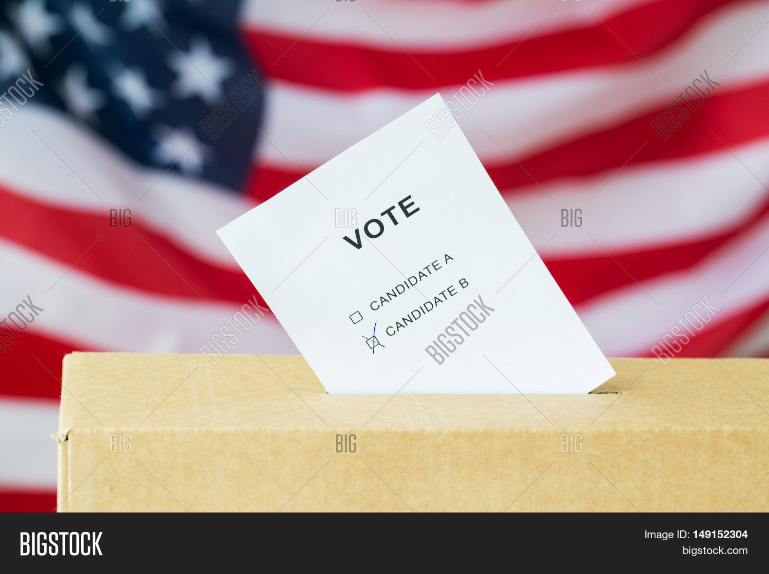 Voting Civil Rights Image & Photo (Free Trial) | Bigstock