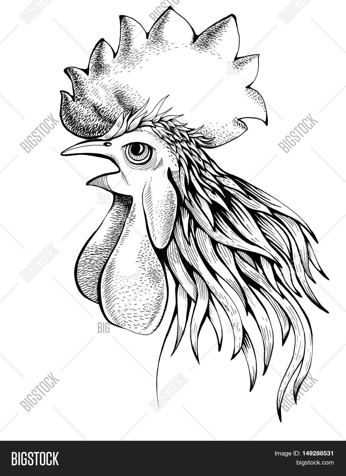 Hand Drawing Profile Image & Photo (Free Trial) | Bigstock