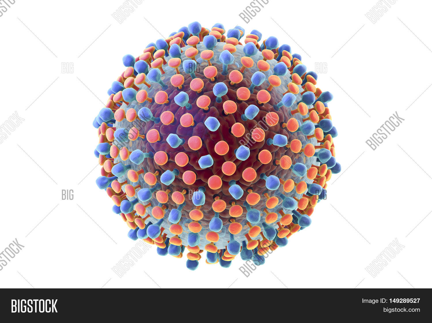Hepatitis C Virus Image & Photo (Free Trial) | Bigstock