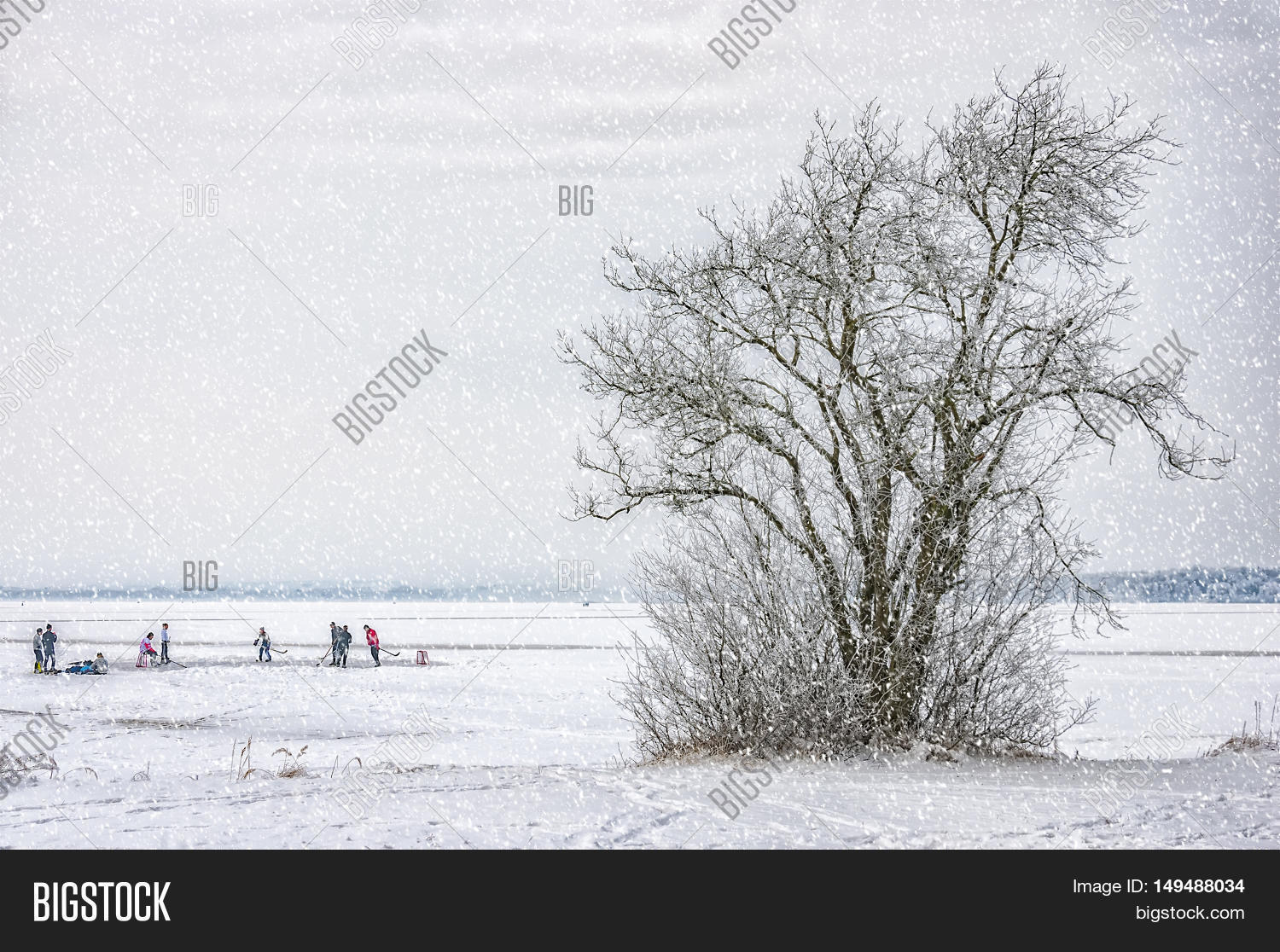 Fresh Falling Snow Image & Photo (Free Trial) | Bigstock
