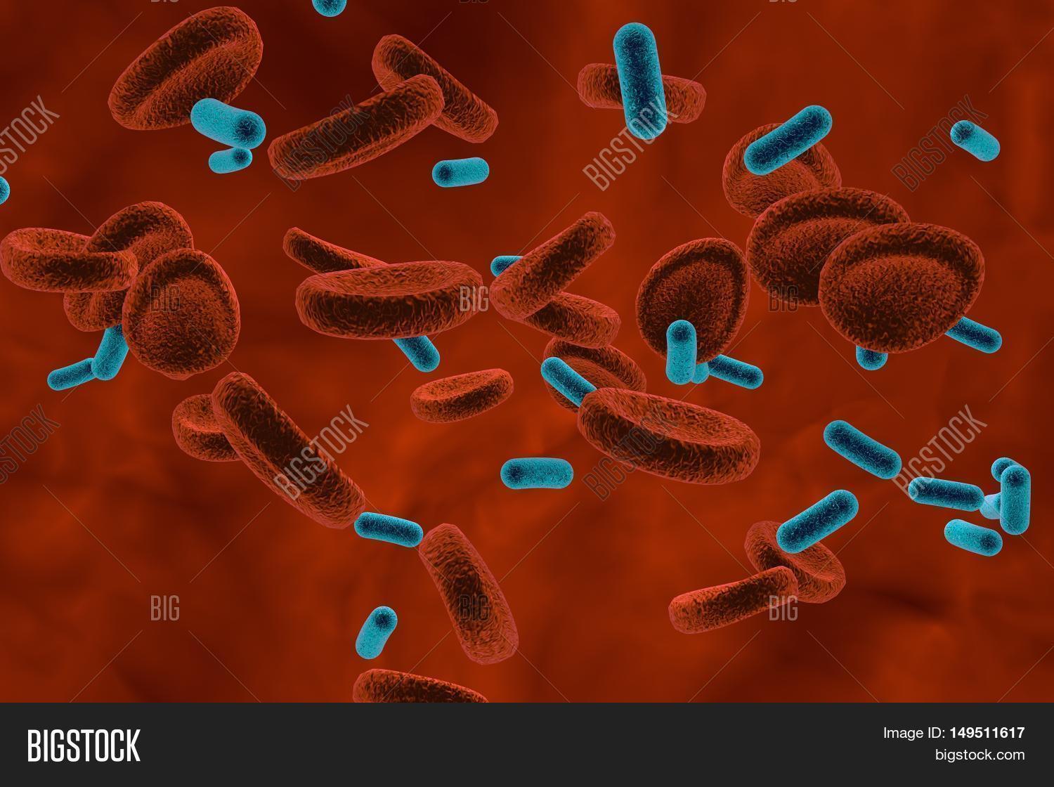 View Inside Blood Image & Photo (Free Trial) | Bigstock