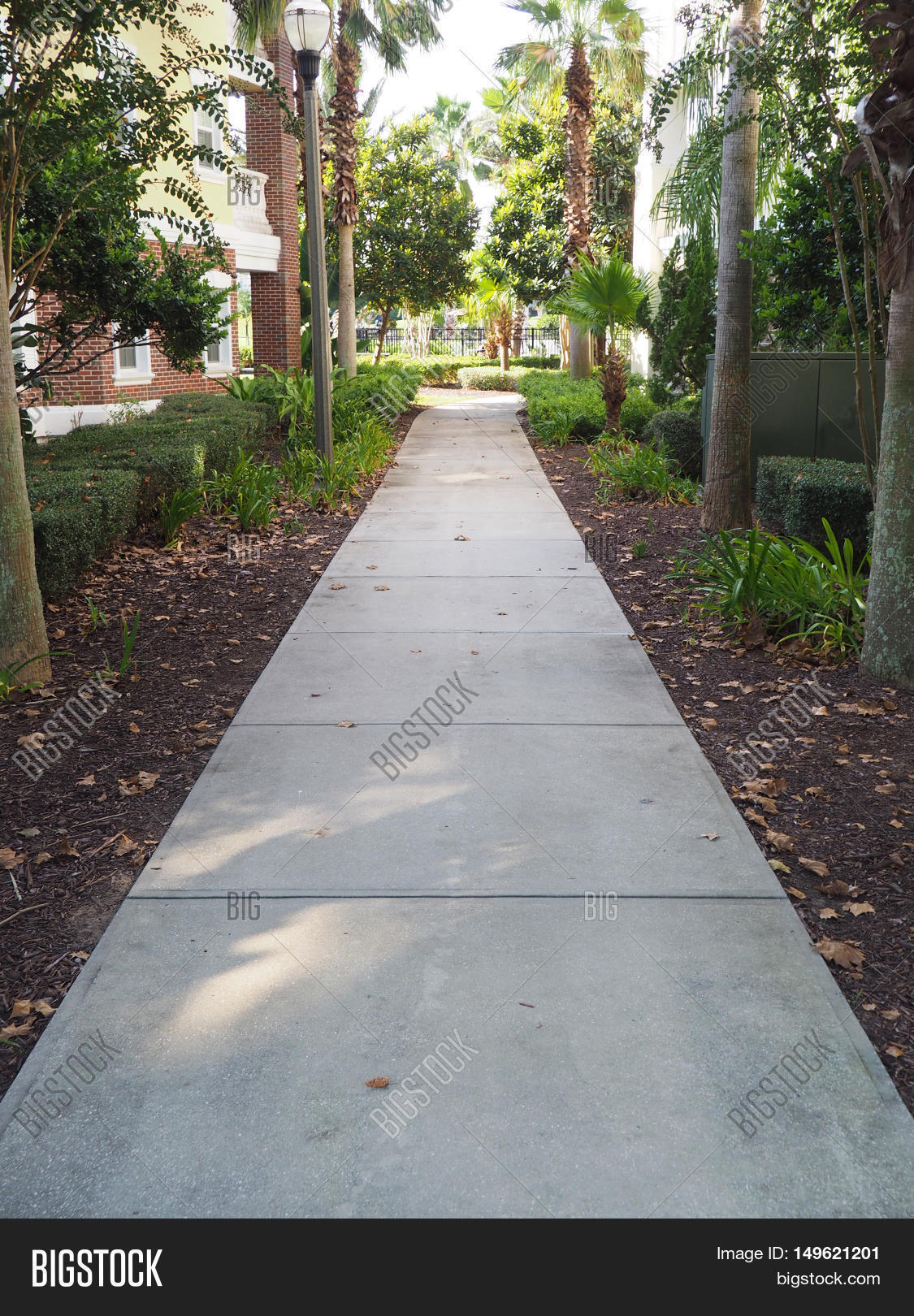 Long Concrete Sidewalk Image & Photo (Free Trial) | Bigstock
