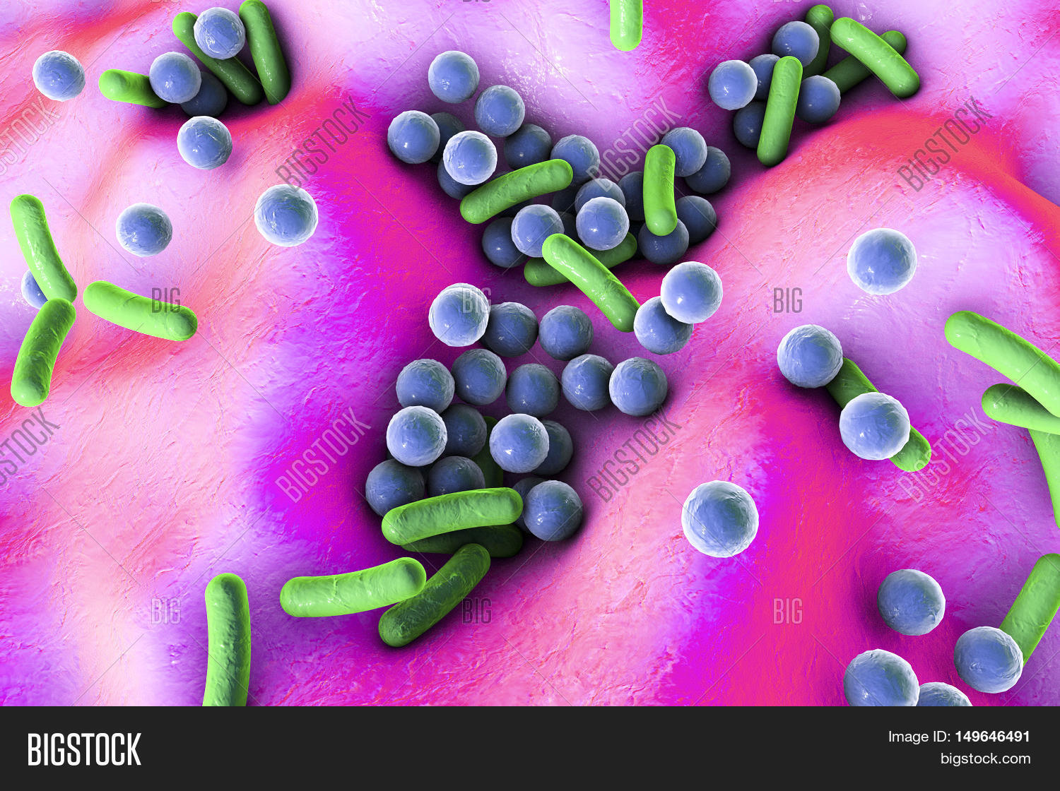 Bacteria On Surface Image & Photo (Free Trial) | Bigstock