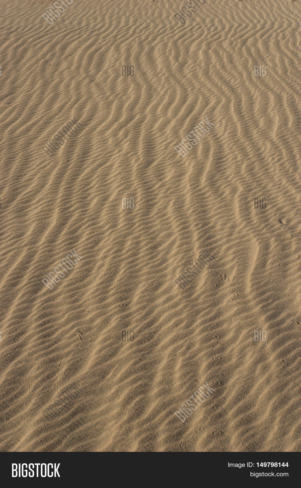 Vertical Lines Sand Image & Photo (Free Trial) | Bigstock