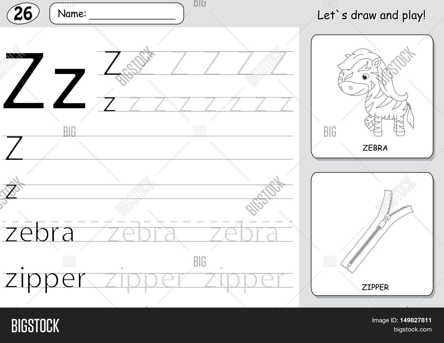 Cartoon Zebra Zipper Vector & Photo (Free Trial) | Bigstock