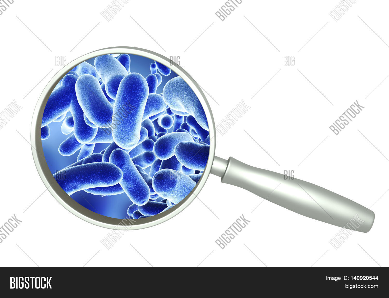 Magnifying Glass Image & Photo (Free Trial) | Bigstock