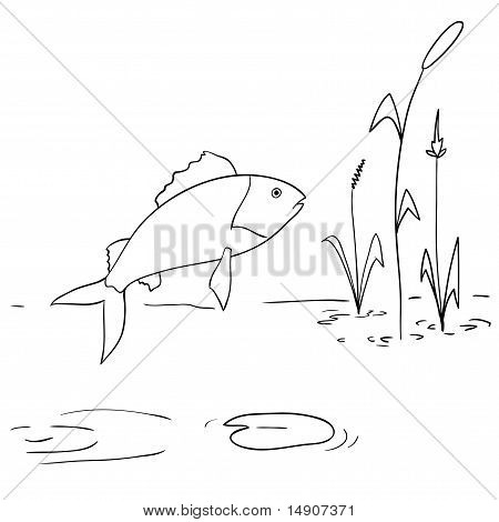 Cartoon River Fish Vector & Photo (Free Trial) | Bigstock
