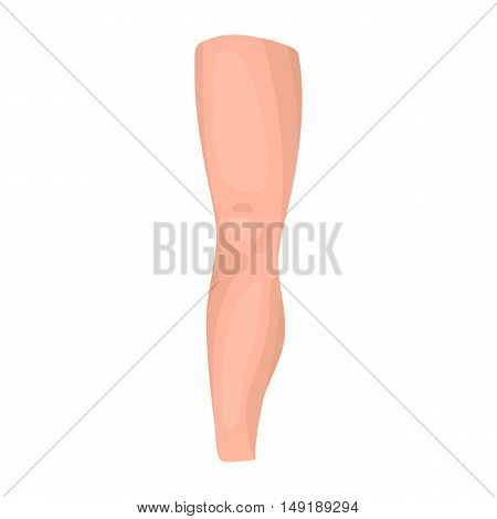 Leg Icon Cartoon Vector & Photo (Free Trial) | Bigstock