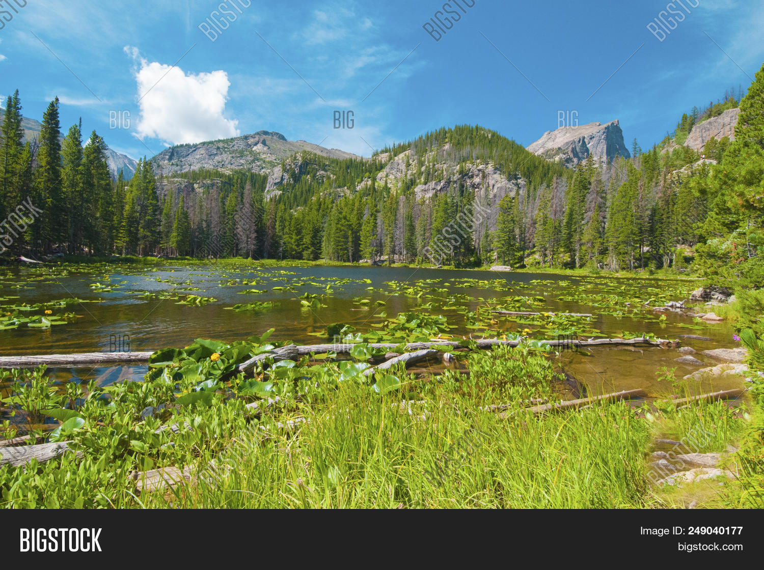 Scenic Nymph Lake Image & Photo (Free Trial) | Bigstock