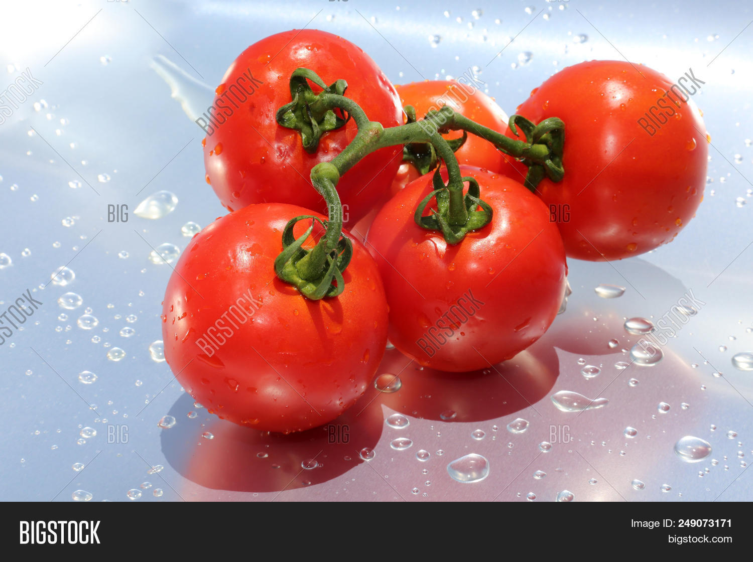 Tomato. Fresh Vine Image & Photo (Free Trial) | Bigstock
