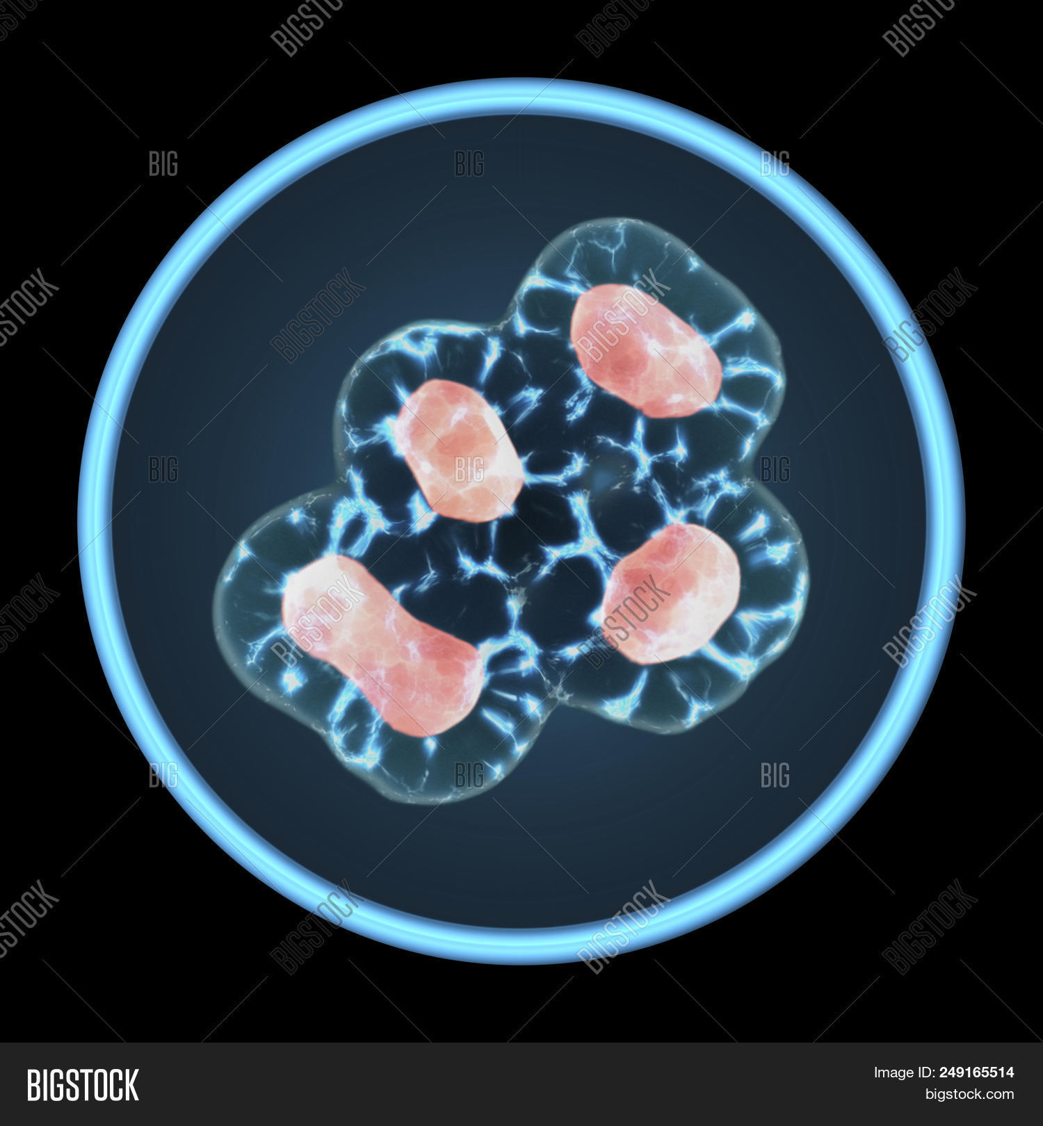Cells Growing Tissue Image & Photo (Free Trial) | Bigstock