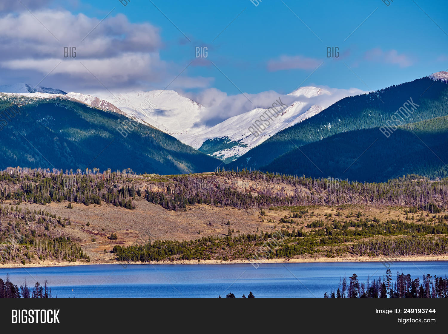 Dillon Reservoir Swan Image & Photo (Free Trial) | Bigstock