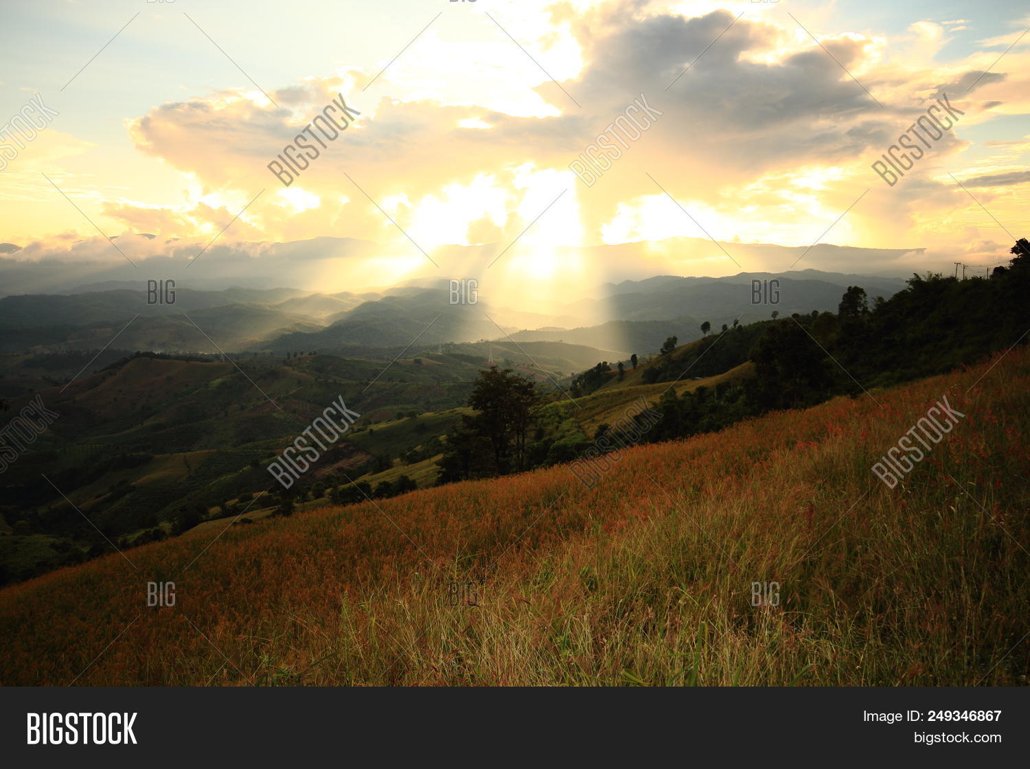 Gods Light Shining On A Path