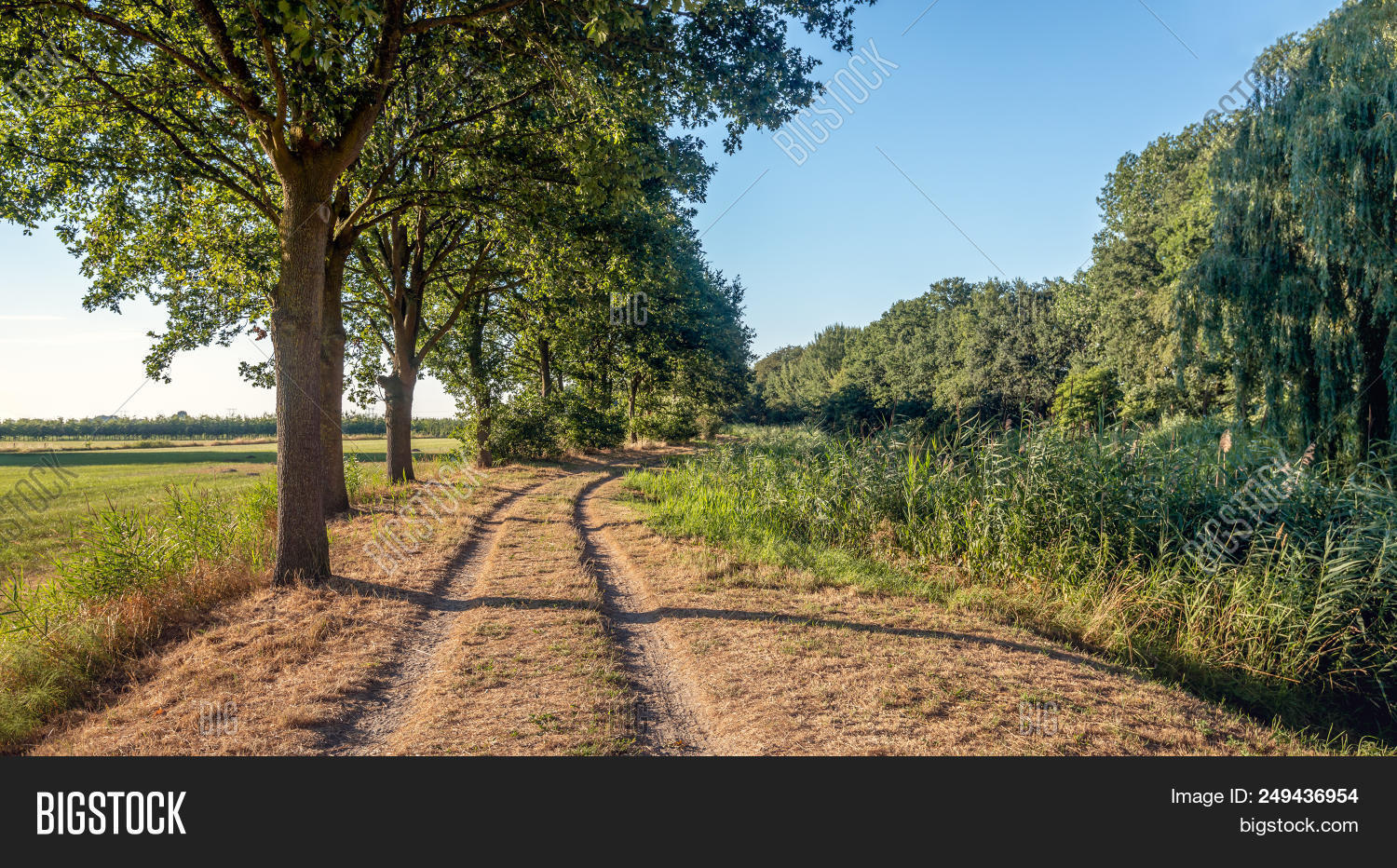 Dirt Road Cart Tracks Image & Photo (Free Trial) | Bigstock