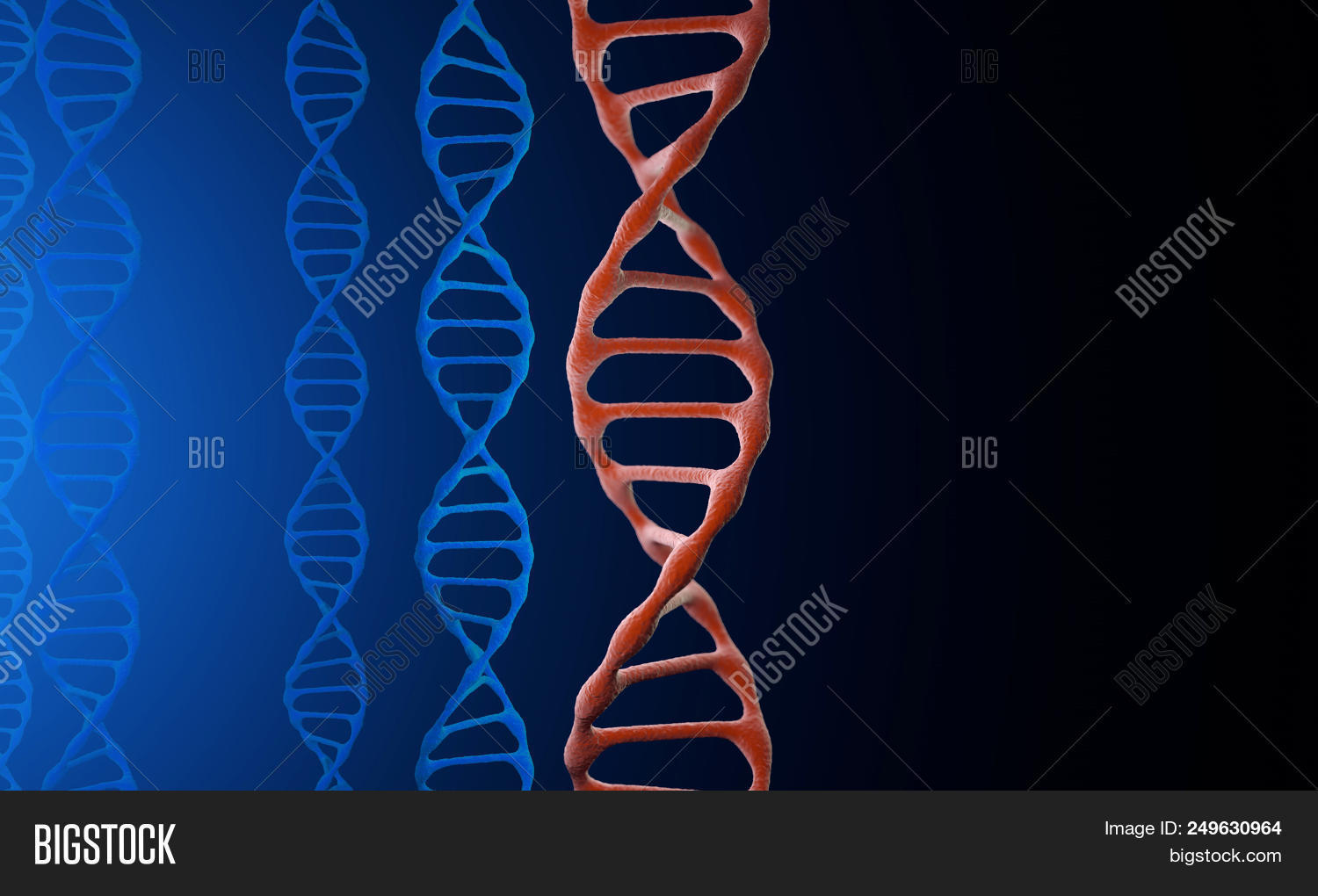 Physical Model Dna On Image & Photo (Free Trial) | Bigstock