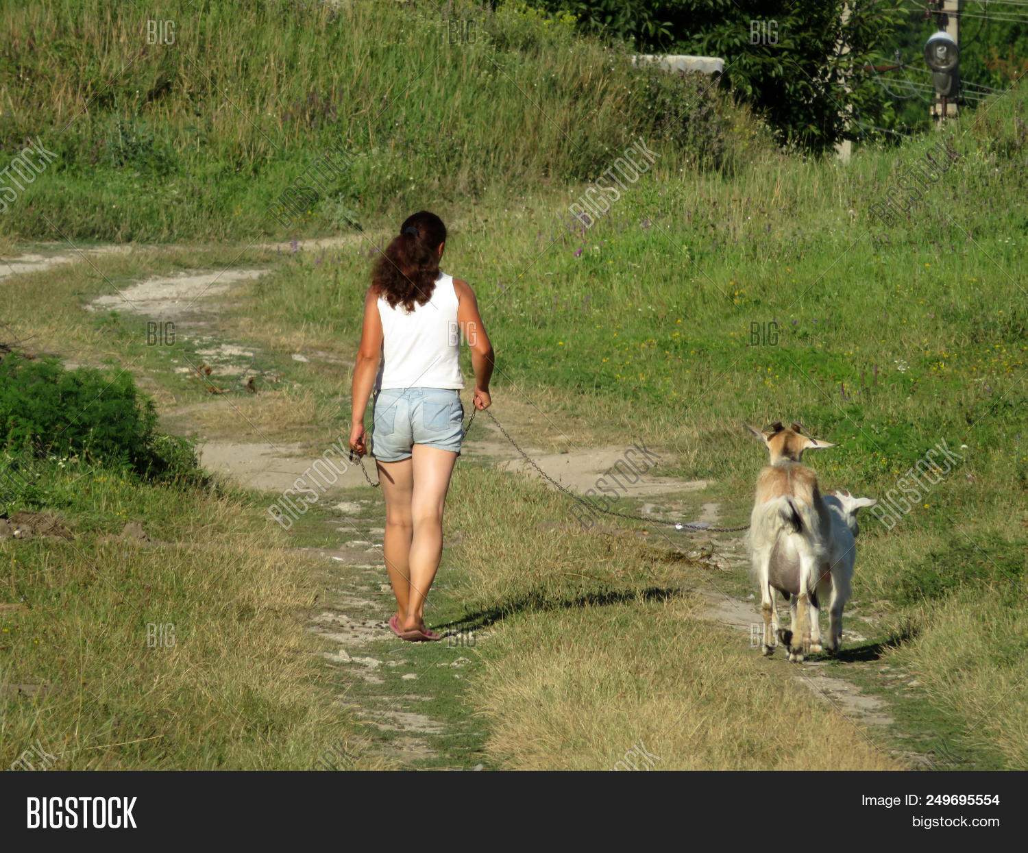 Girl Leading Two Goats Image & Photo (Free Trial) | Bigstock