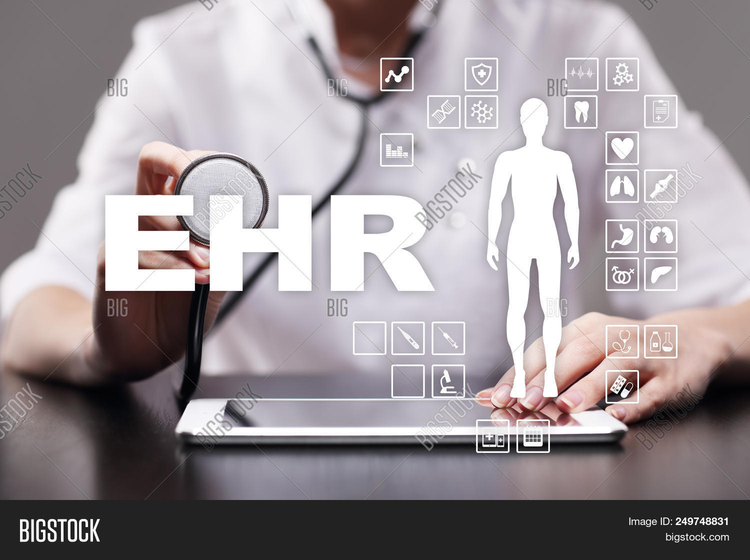 Ehr, Emr, Electronic Image & Photo (Free Trial) | Bigstock