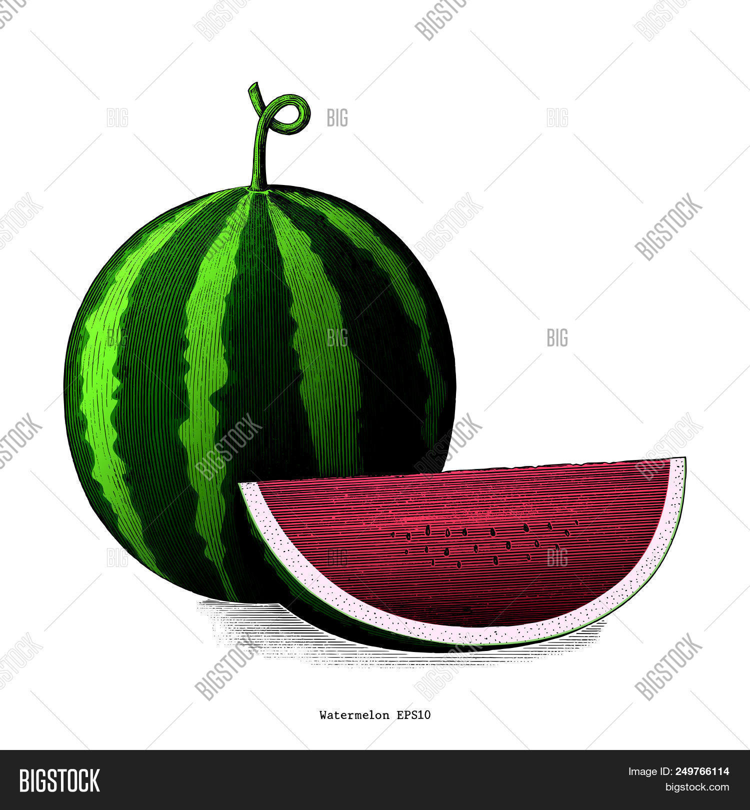 Watermelon Hand Vector & Photo (Free Trial) | Bigstock