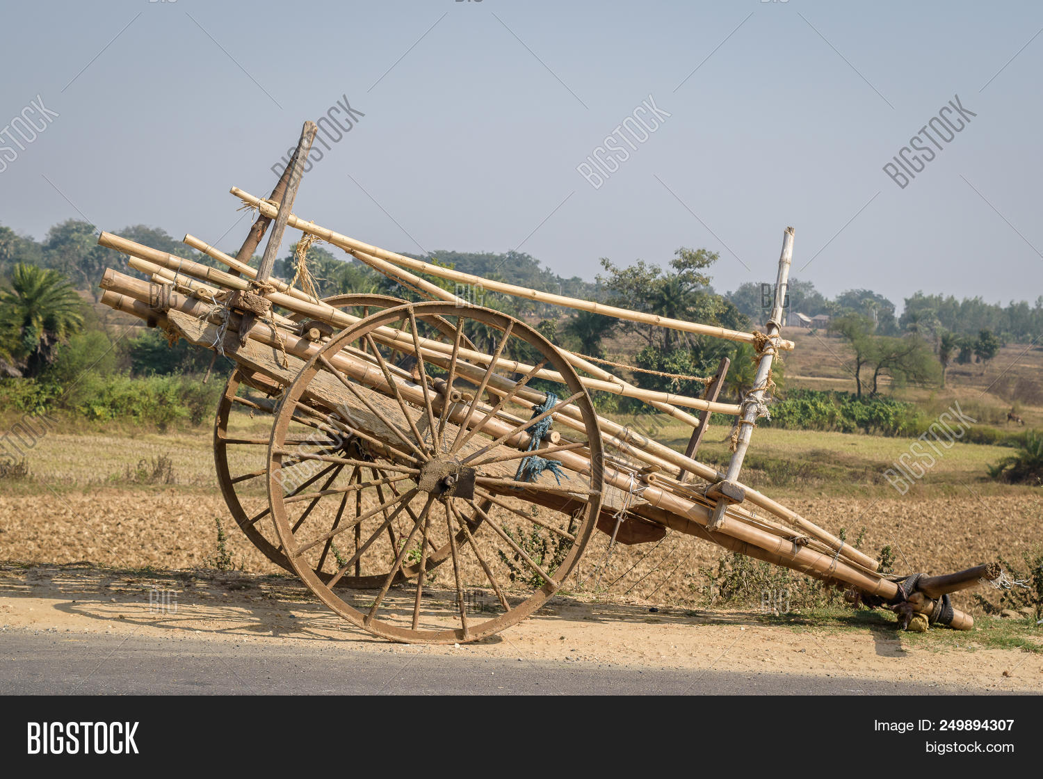 Bullock Cart Standing Image & Photo (Free Trial) | Bigstock