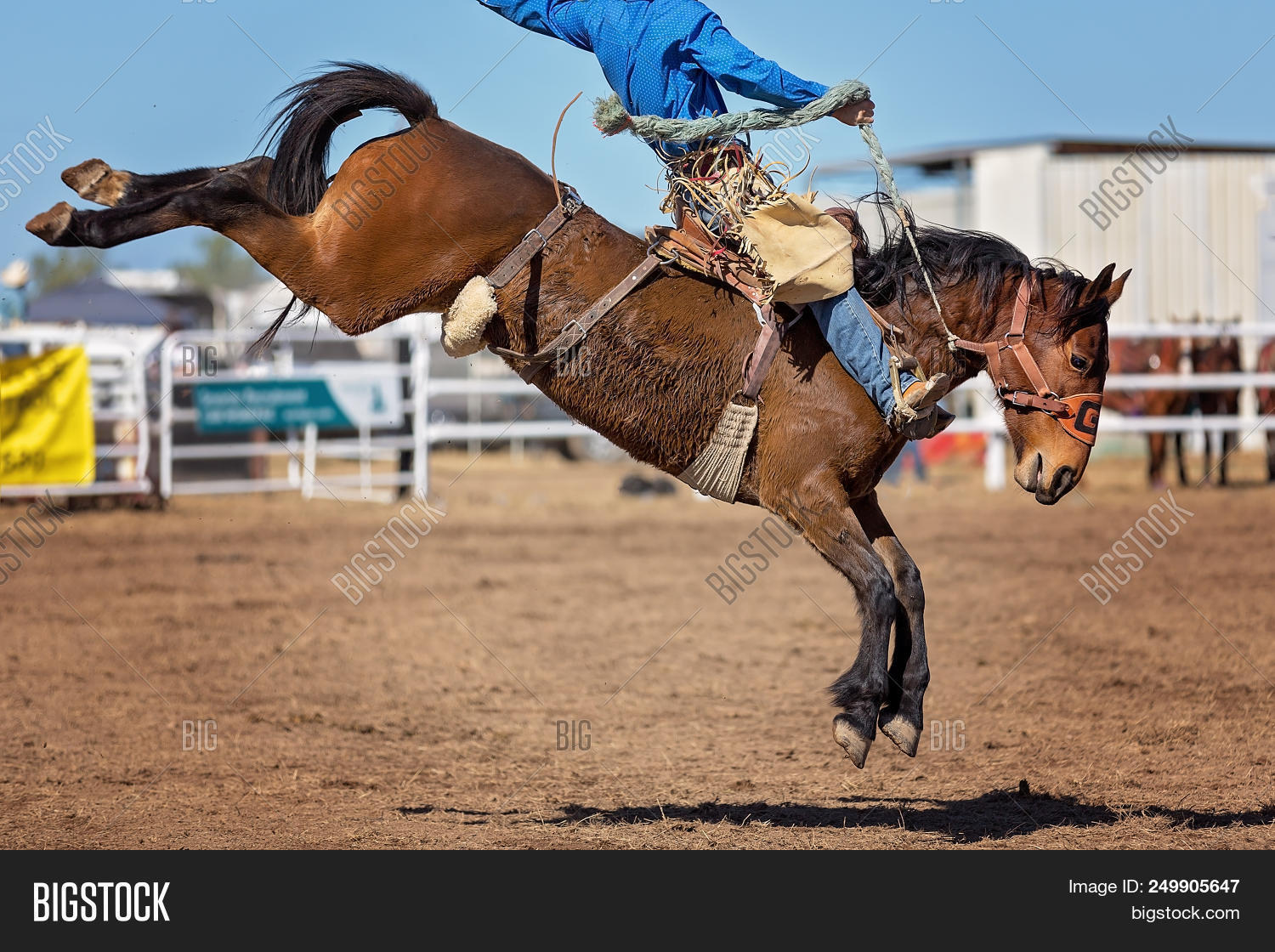 Cowboy Riding Bucking Image & Photo (Free Trial) | Bigstock
