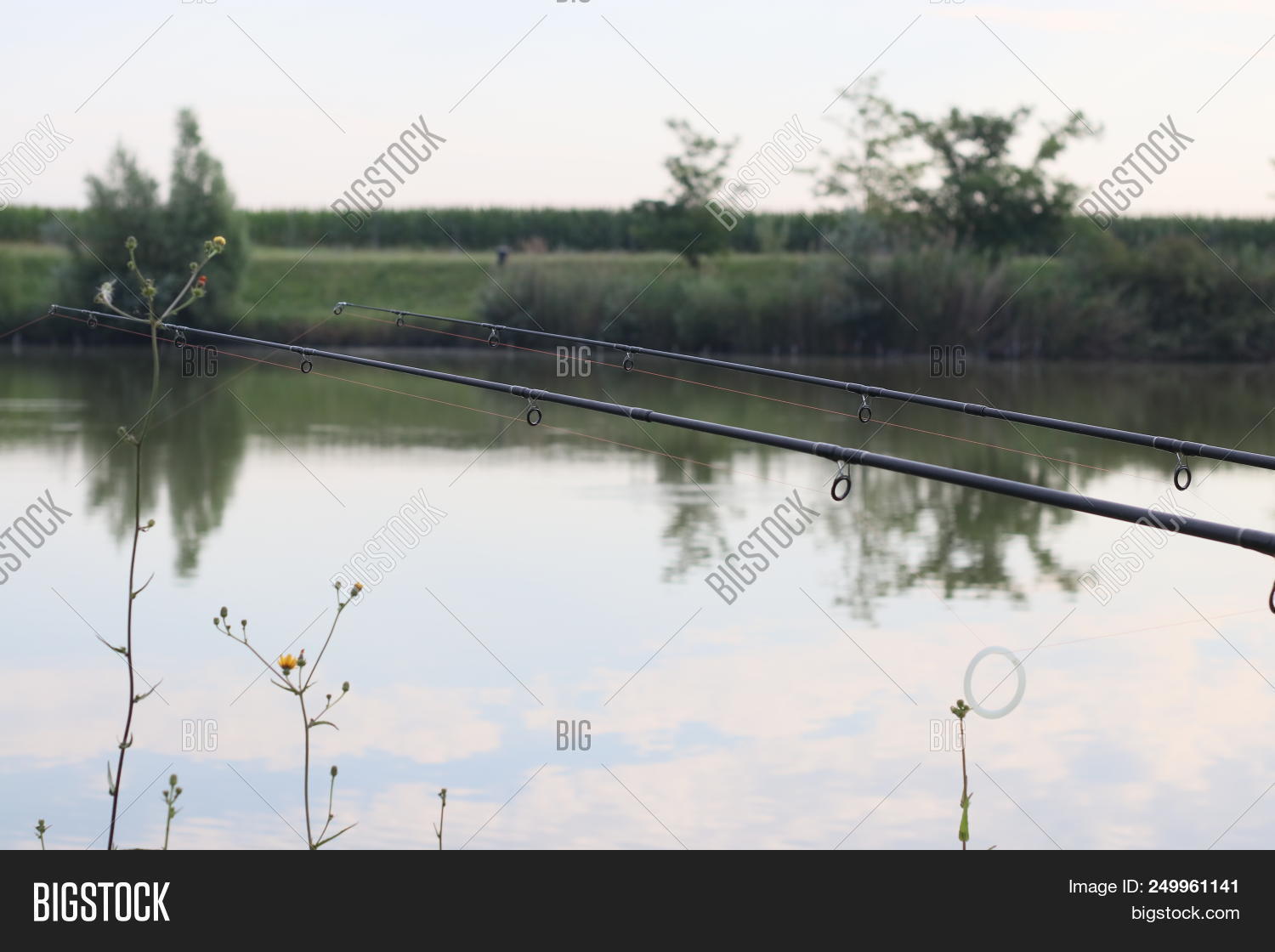 Fishing Rods On Lake Image & Photo (Free Trial) | Bigstock