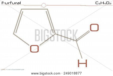 Large Detailed Vector & Photo (Free Trial) | Bigstock